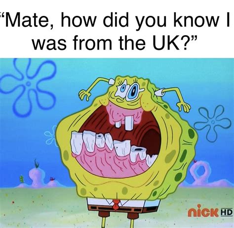 The Big Book Of British Smiles Rmemes