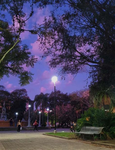 Cielo Violeta Puzzle Factory