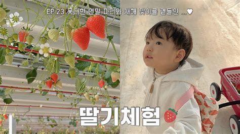 육아vlog 아기랑 딸기농장 체험🍓 29개월아기 첫 떡국과 첫 속세 아이스크림 🙄 초간단 파티음식 가평 키즈펜션