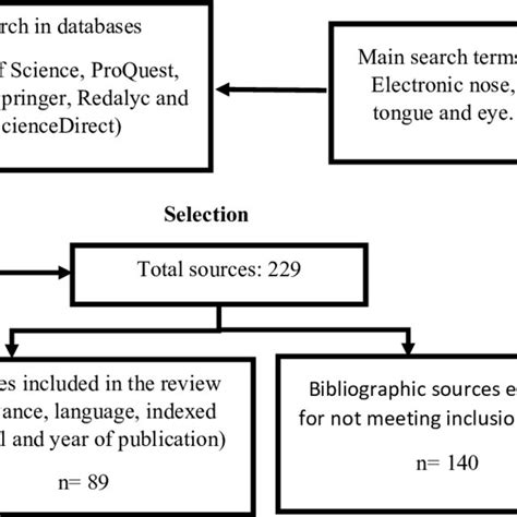 Flow Chart Of The Bibliographic Search And Delimitation Of Information