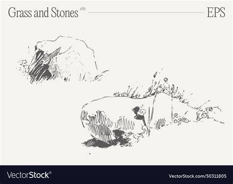 Hand Drawn Of Grass And Rocks Royalty Free Vector Image