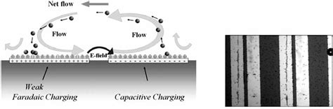 A Four Counter Rotating Vortices Are Formed Above The Electrodes Due