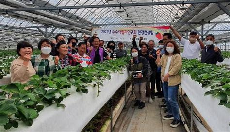광주시 고품질 수수락 딸기재배 기술 현장 컨설팅 추진 아주경제