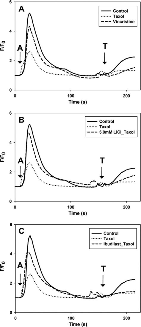 Lithium And Ibudilast Maintain Calcium Signaling In N2a Cells A The Download Scientific