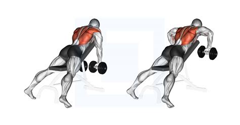 Dumbbell Renegade Row Guide Benefits And Form