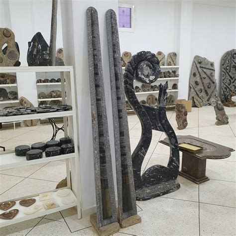 Large Orthoceras Fossil Selenite And Fossils