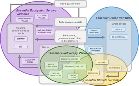 Essential Ecosystem Service Variables For Monitoring Progress Towards Sustainability Geo Bon