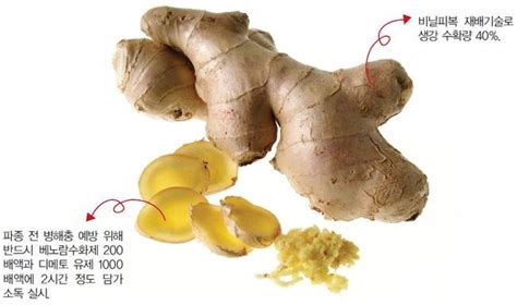 팜앤마켓매거진