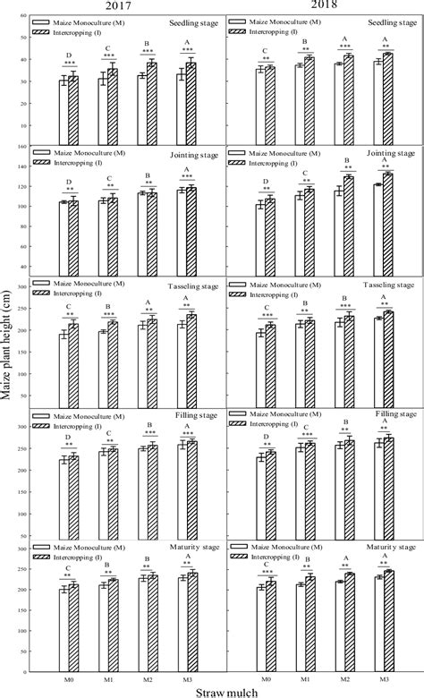Figure 2 From Evaluating The Influence Of Straw Mulching And Intercropping On Nitrogen Uptake