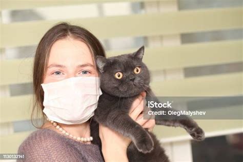 소녀 그녀의 얼굴에 의료 마스크에 인 간에 대 한 고양이 감염에 대 한 영국 고양이 Breedtoxoplasmosis 보호를 들고 있다 갈고리 발톱에 대한 스톡 사진 및