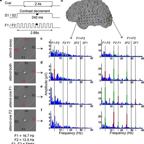 Attentional Modulation Of Ssveps In Participant 1 P1 To Stimuli