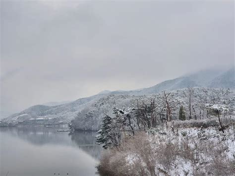 성공회 아침기도 나는 하느님의 집에서 싱싱하게 자라는 올리브나무같이 한결같은 하느님의 사랑을 영원히 영원히 믿고 살리라시편 528 주님 사순절을 보내고