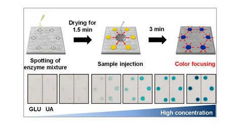 Advanced Colorimetric Paper Sensors Using Color Focusing Effect Based