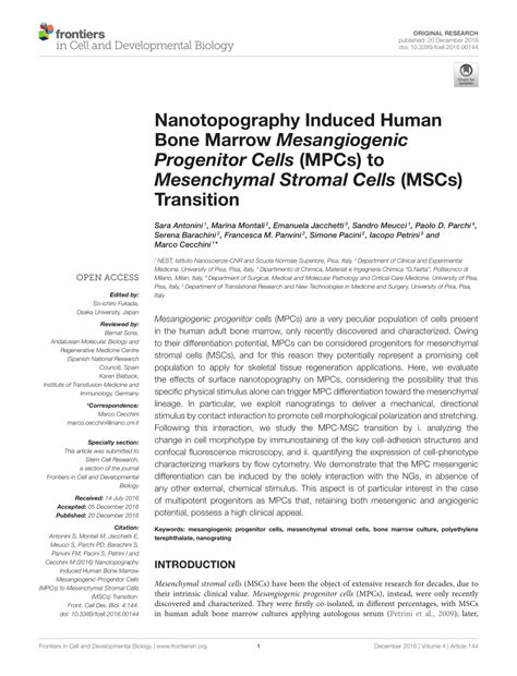 Pdf Nanotopography Induced Human Bone Marrow Mesangiogenic Progenitor