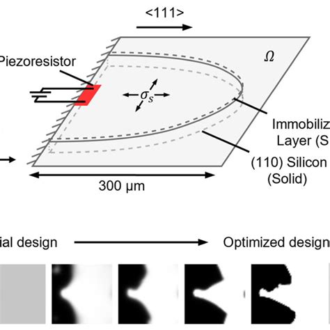 A Schematic Of The Topology Optimization Model A The Geometry Of The Download Scientific