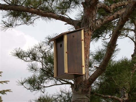 Artificial Nest Box Of B Type Download Scientific Diagram