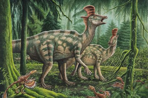 Lambeosaurus Amigos De Los Dinosaurios Y La Paleontología