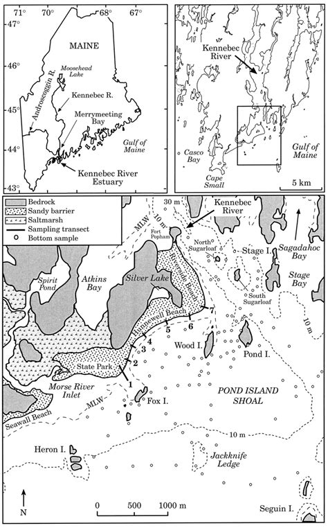 Map Of The Study Area Showing The Locations Of Bottom Sediment Samples Download Scientific