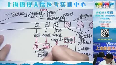 2021生物化学rna的合成04（624下午）腾讯视频