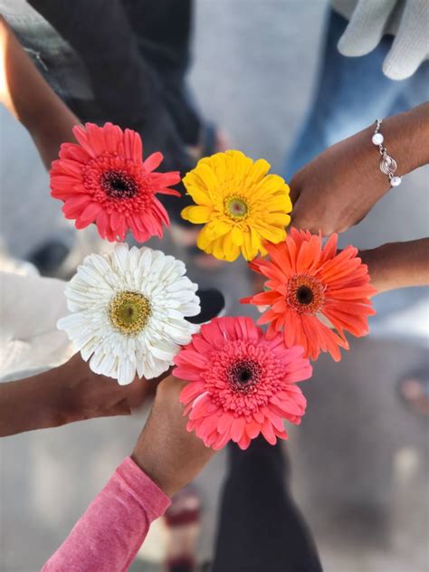 Simple මෙවර ඒ දියණියන් පැමිණියේ දුම්රියෙන් අපේ නිවසට ආසන්නව දුම්රිය පළක් ඇති නිසා එක් මවක්