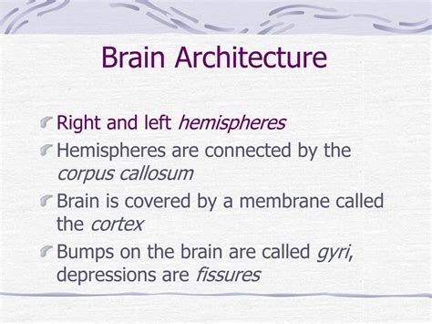 Ppt Psycholinguistics Powerpoint Presentation Free Download Id 1047191