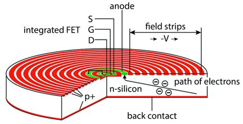 Cross Section Of A Cylindrical Silicon Drift Detector With Integrated Download Scientific