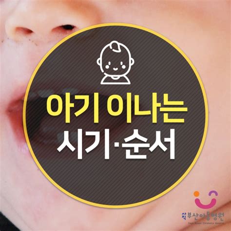 사직부산아동병원 아기 이나는 순서 시기 이앓이 증상 부산사직소아과 네이버 블로그