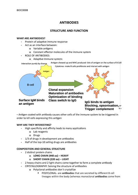 Antibodies Bioc2004 Bioc0008 Antibodies Structure And Function What
