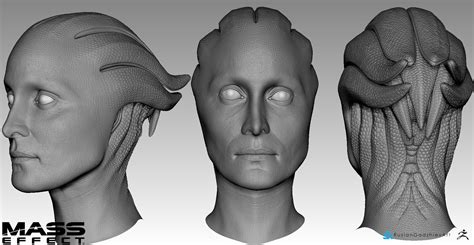 Asari Anatomy