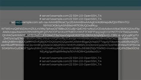 Securely Obtain Your Sftp Host Key A Step By Step Guide