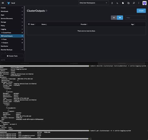 Logging Clusterflow And Clusteroutput Not Showing Up In Ui · Issue 8912 · Rancher Dashboard