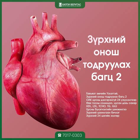 【happy 🌟Зүрхний онош тодруулах багц 2 ОАК цусны дэлгэрэнгүй 24 үзүүлэлтээр Өөх тосны солилцоо