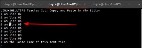 How To Cut Copy And Paste In Vim Editor