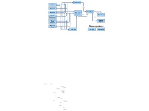 Everglades Food Web Insight Maker