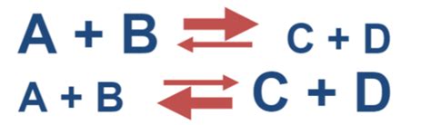 Biol 66 Ch 4 Enzymes And Energy Flashcards Quizlet