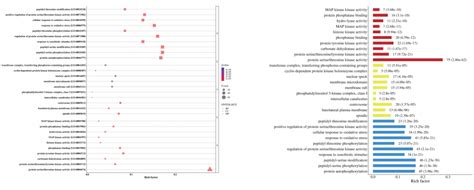 技术介绍 中药非靶标代谢组学技术路线及研究意义 知乎