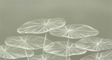 자연 추상적인 배경 나뭇잎의 그림입니다 꿈의 개념의 예술 사진 Unsplash의 자연 이미지