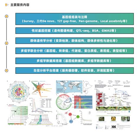 生物信息学分析 育种助手 长沙百奥云数据科技有限公司生信分析