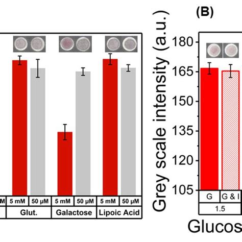 Interference Assay For Assessment Of Specificity Towards Glucose A
