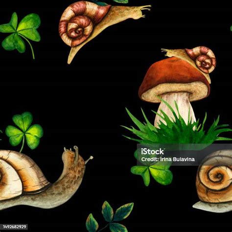 수채화 무늬 이음새가 없는 패턴 야생 숲 버섯 포르치니와 달팽이 자연 숲 잔디밭 장면입니다 야생의 풍경 검은 배경에 고립된 생태 자연 그림 0명에 대한 스톡 벡터 아트 및