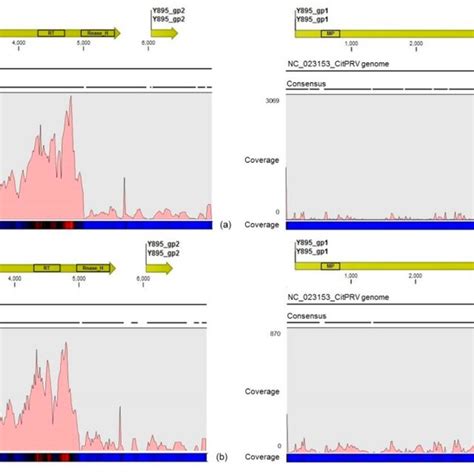Profile Distribution Of Total Reads From The Rna Seq A And Srna C
