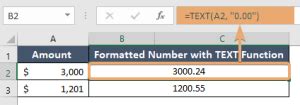 How To Use TEXT Function In Excel Examples