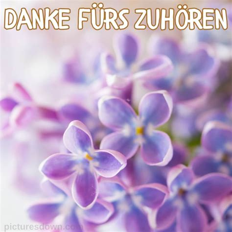 Danke für eure aufmerksamkeit bild Blumen