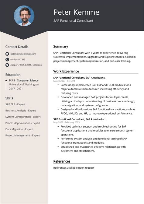 Sap Functional Consultant Resume Examples Template And 20 Tips
