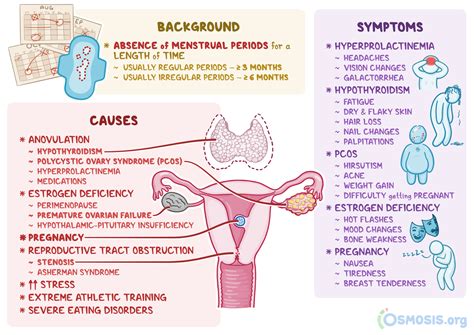 Secondary Amenorrhea What Is It Causes Treatment And More