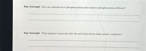 Solved Key Concept How Are Substrate Level Phosphorylation