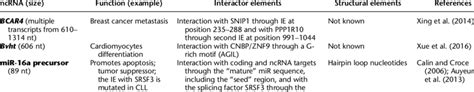 Examples Of Experimentally Supported Interactor Elements And Structural Download Scientific