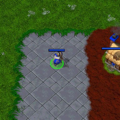 Selection Circle Hive