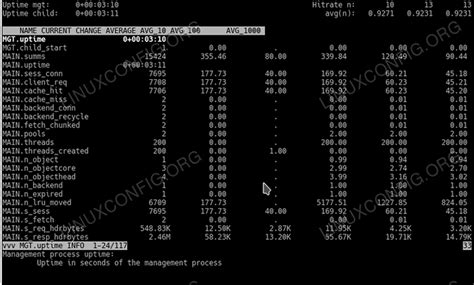 Jak Zainstalować Serwer Pamięci Podręcznej Lakieru Z Nginx Na Ubuntu 18