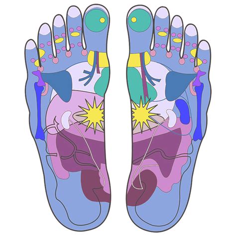 Fußreflexzonenmassage ~ Instititut Massage Ausbildung Berlin